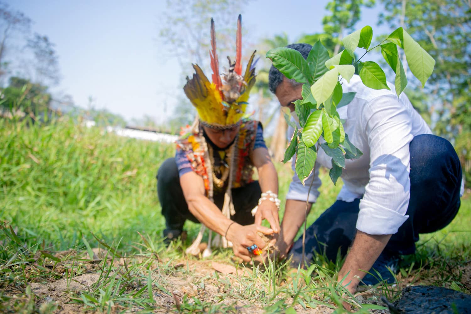 Funtac realiza cultivação e plantio de mudas para celebrar o Dia da ...