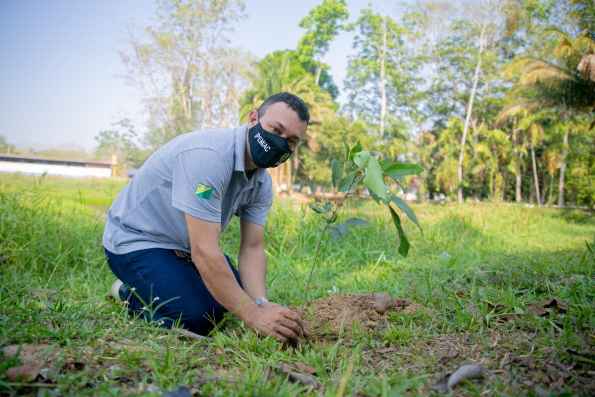 Funtac realiza cultivação e plantio de mudas para celebrar o Dia da ...