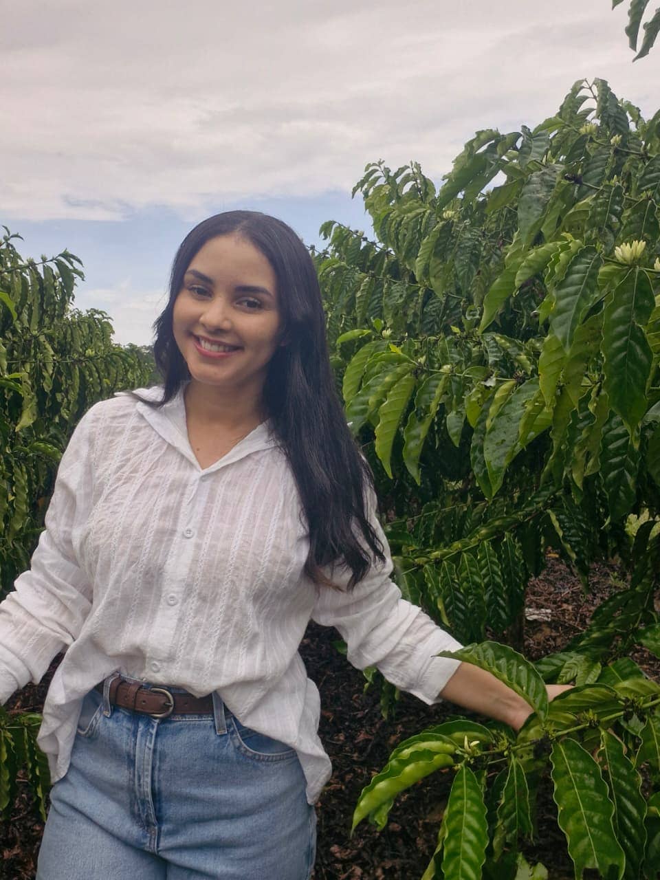 Cafeicultoras acreanas se destacam mais uma vez no concurso Florada ...